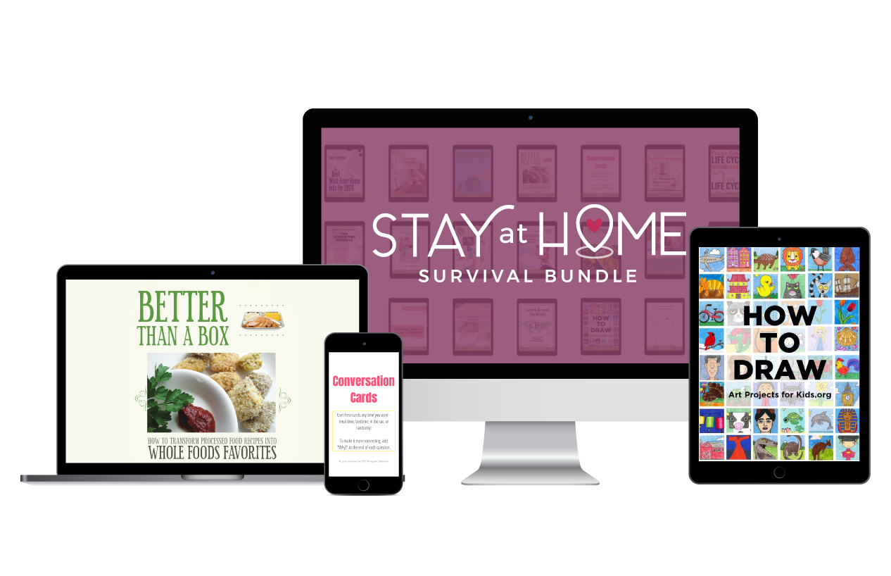 2 Day Only Sale - Stay at Home Survival Bundle