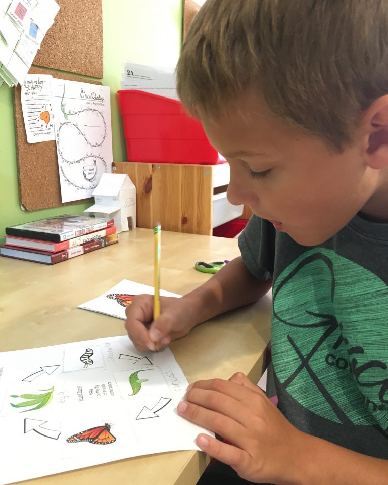 Monarch Butterfly Life Cycle Printables