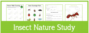 Insect Nature Study Printables - Learning About Bugs