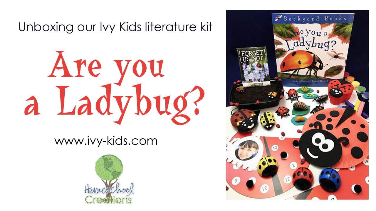 Are You a Ladybug - Ivy Kids Kit
