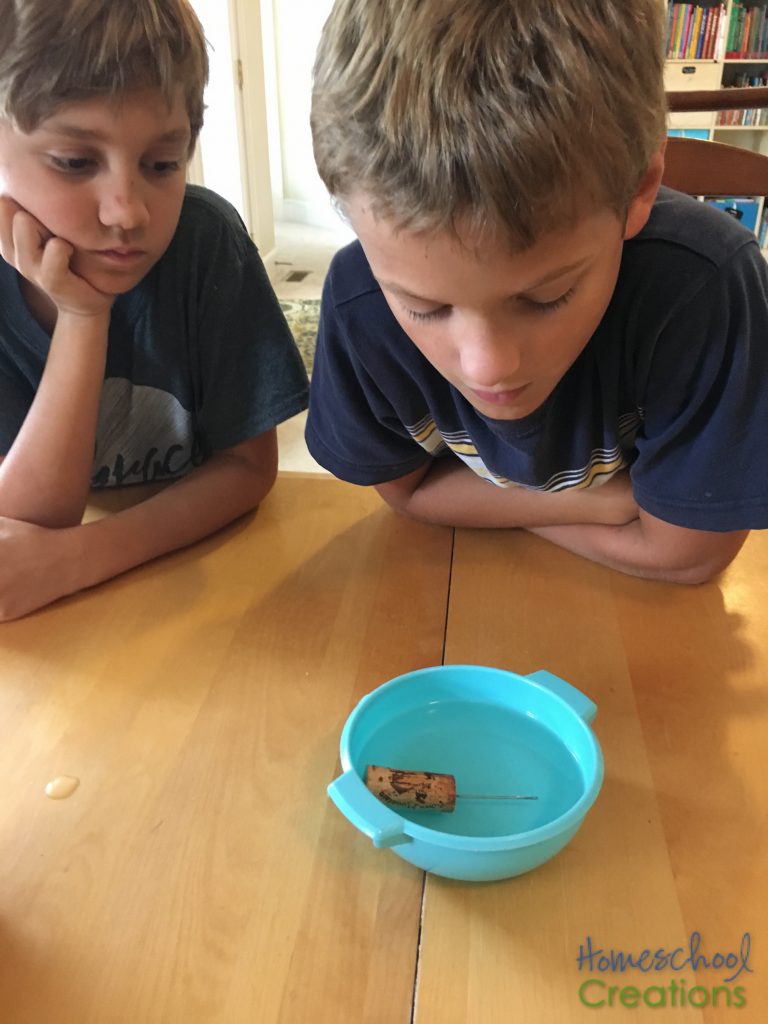 Making a Simple Compass - Learning about the Earth's Magnetism