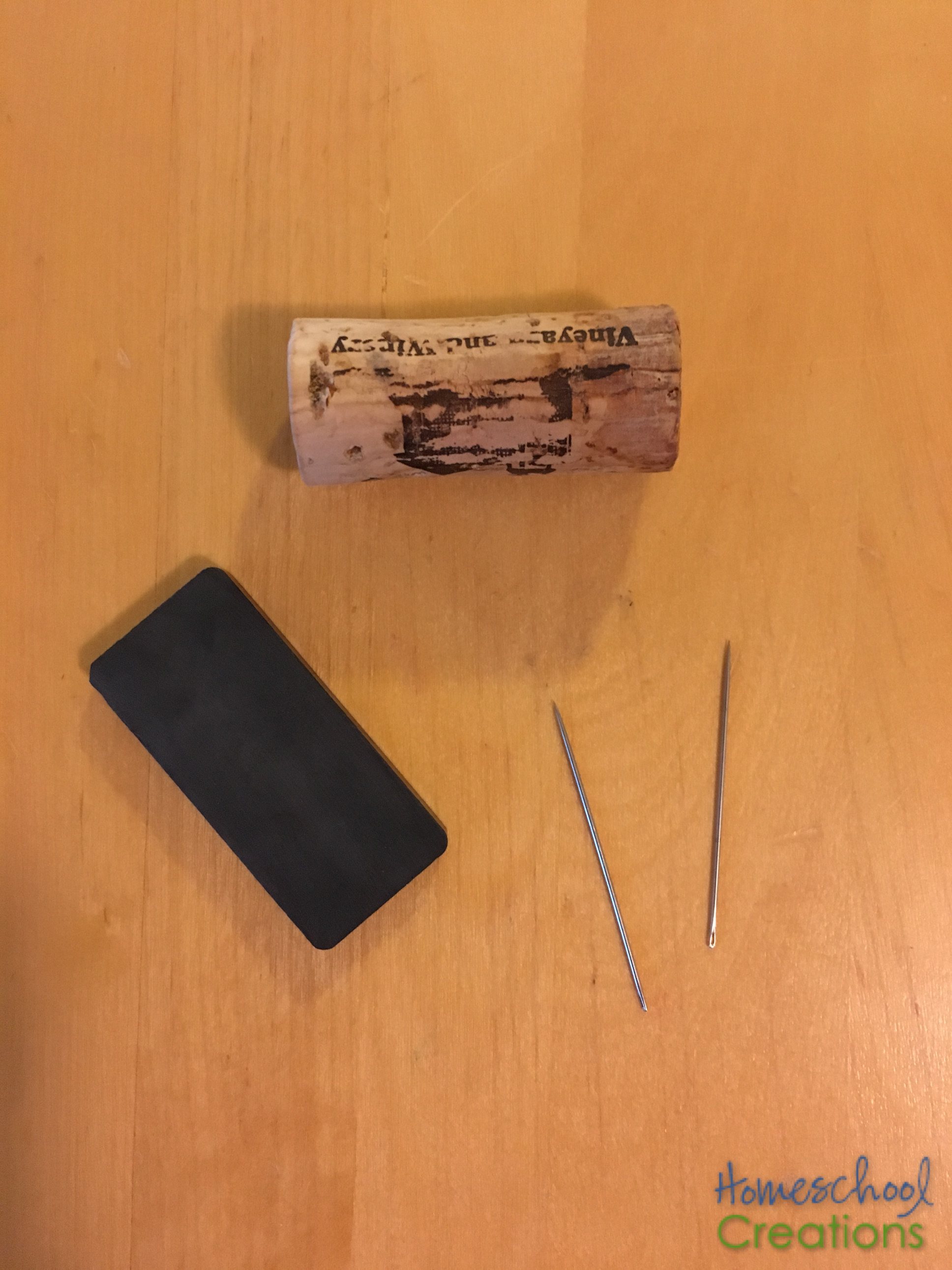 Making a Simple Compass - Learning about the Earth's Magnetism