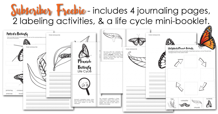 Monarch Butterfly Life Cycle Printables
