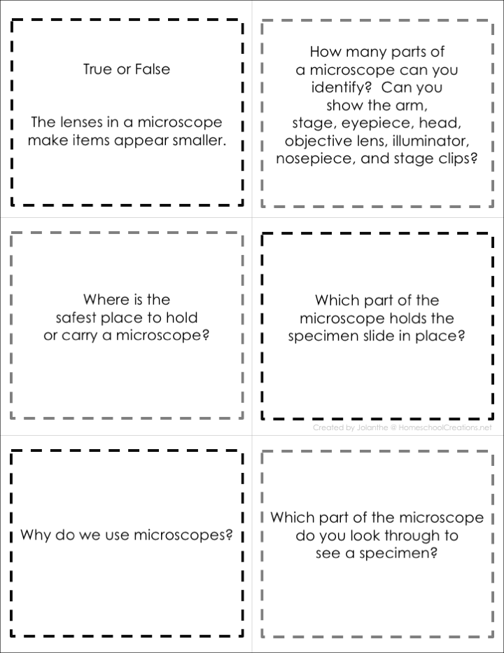 Parts of a Microscope - Free Printable
