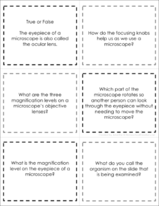 Parts of a Microscope - Free Printable