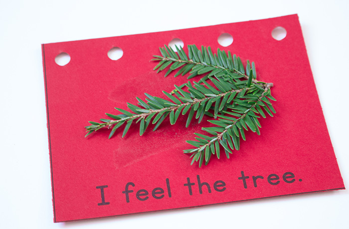 5 Senses Christmas Book & Q Tip Snowflakes - Preschool and Kindergarten ...