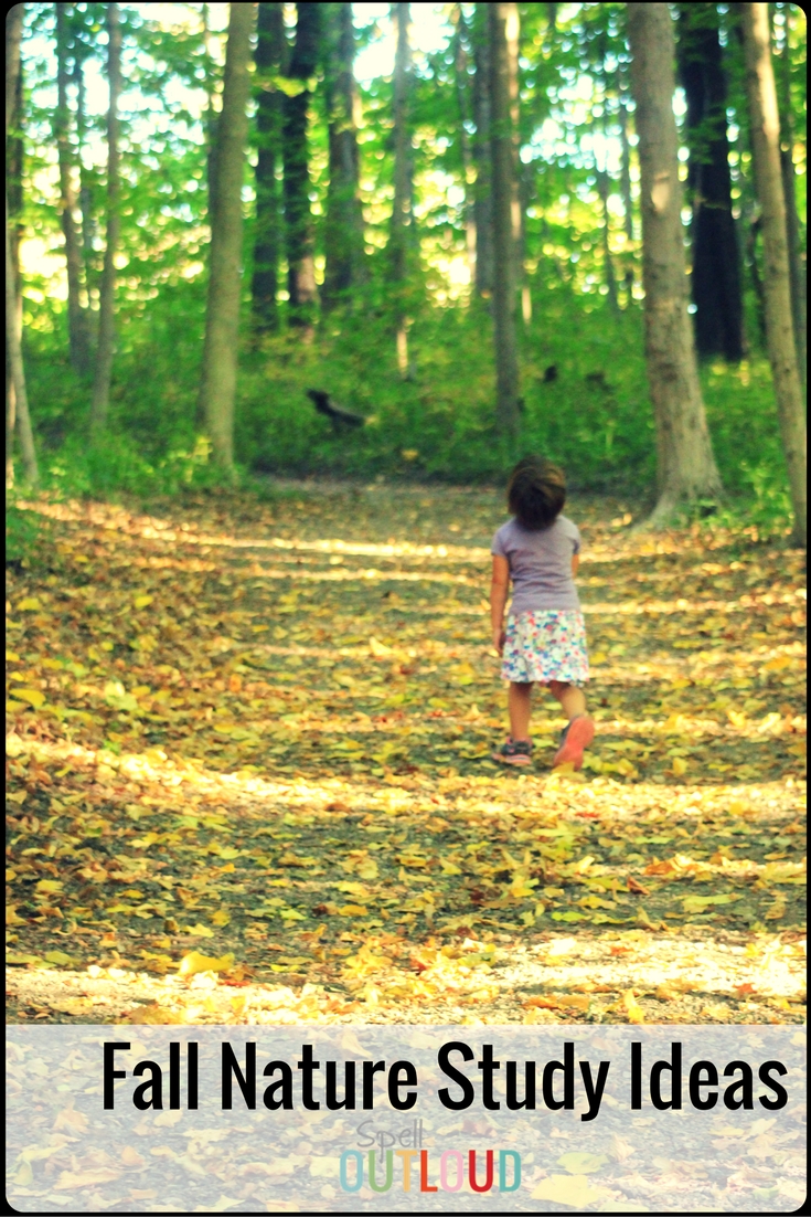 Pumpkin Crayons and Fall Nature Study Ideas - Preschool and ...