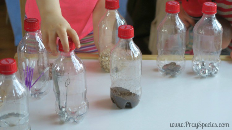 Seed Eggs and Musical Sound Bottles - Preschool and Kindergarten Community